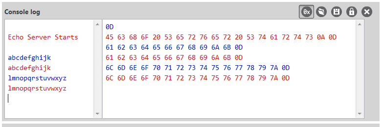 Connect to the Echo server