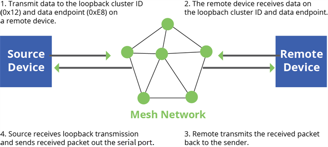 Test links in a network - loopback cluster